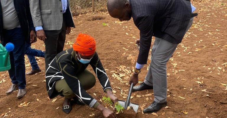 Climate Action - SkillsForge Network